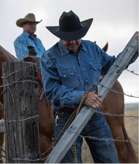 News – Stetson Australia