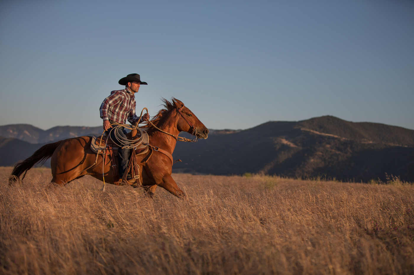 Stetson Hats Australia | Legendary hand-crafted hats – Stetson Australia